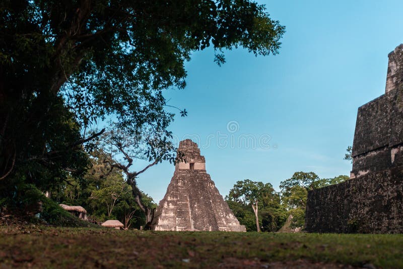 Massive Pyramid Surrounded by a Lush Forest Landscape Stock Photo ...