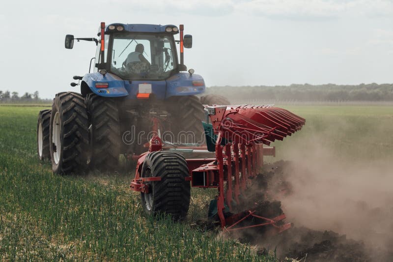 A Massive Red Plow Processes Loosens the Soil while the Blue Tractor is ...