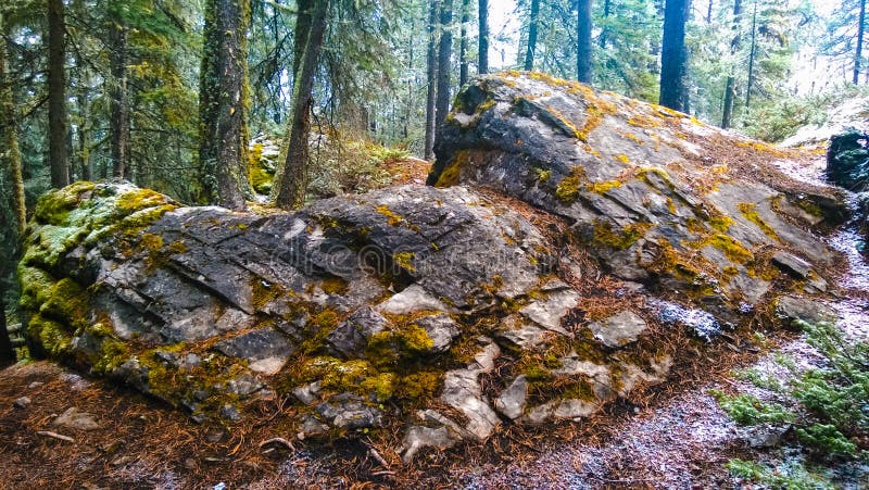 Massive Rock in a Mountain Forest Stock Image - Image of foliage, snow ...