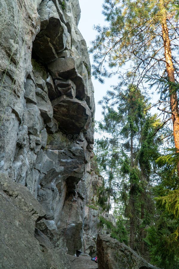 Stone Rock in Wild Forest Pine Tree Stock Photo - Image of tall, trail ...