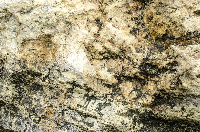 Massive Texture of Yellow Limestone. Stock Image - Image of backdrop ...