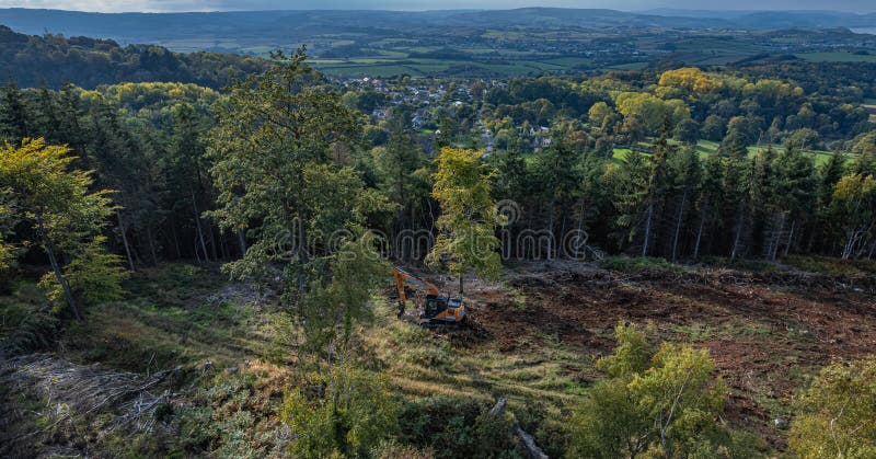 Large Tractor in a Forest Clearing Land with Dirt and Trees Stock Image ...