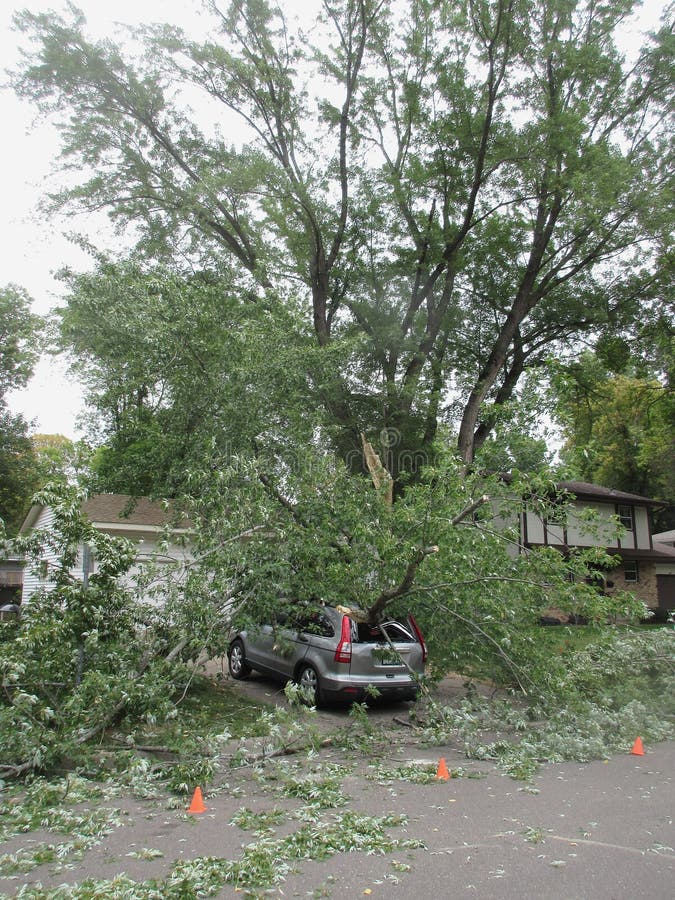 Massive Tree Branch Falls on the Roof of a Car. Stock Image - Image of ... Massive Tree Branch Falls on the Roof of a Car. Stock Image - Image of ...