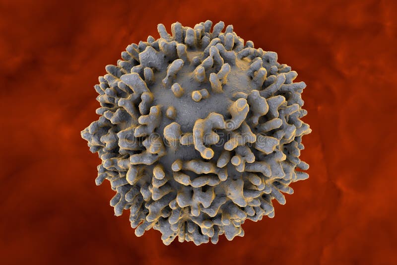 Mastcel of Een Mastocyte, Labrocyte Stock Illustratie - Illustration of ...