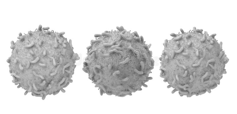 Mastcel of Een Mastocyte, Labrocyte Stock Illustratie - Illustration of ...