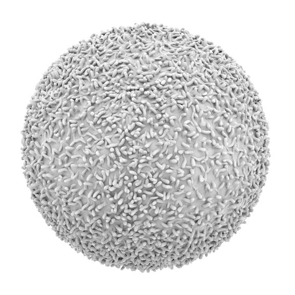 Mastcel of Een Mastocyte, Labrocyte Stock Illustratie - Illustration of ...