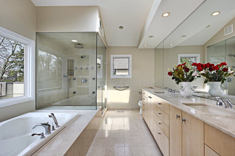 Master Bath with Step Up Tub Stock Photo - Image of master, bathroom ...
