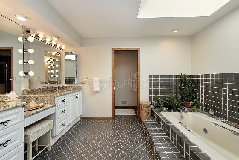 Master Bath with Step Up Tub Stock Photo - Image of living, bathtub ...