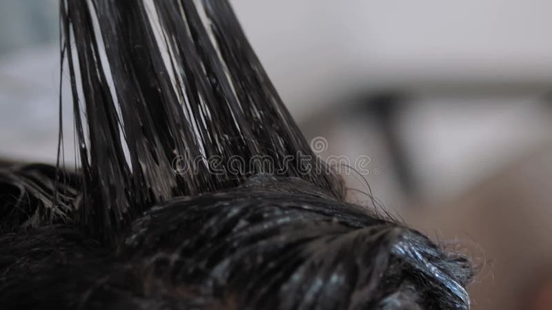 Master Colorist Distributing Dyeing Composition through Hair Sections ...