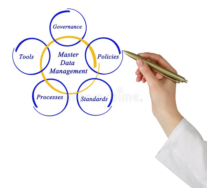 Master Data Management stock image. Image of female, lecturer - 94373455
