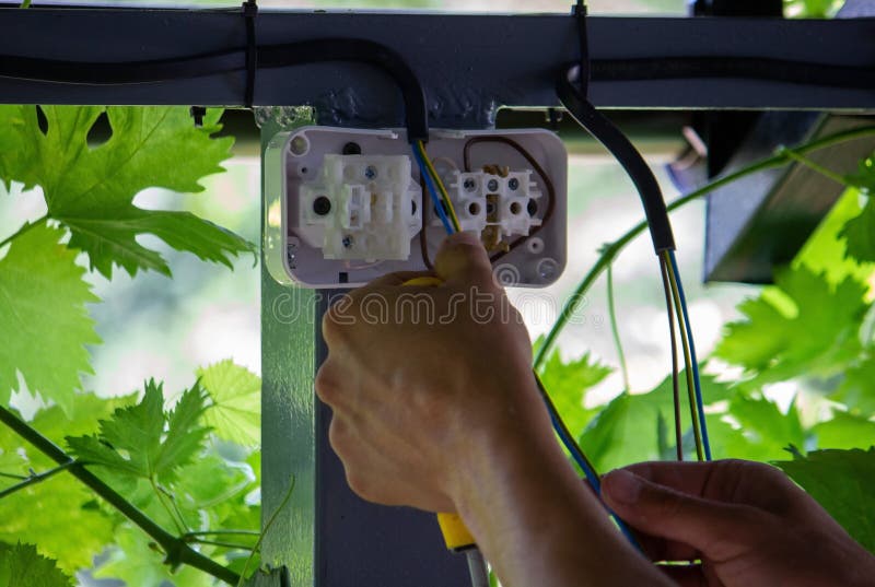 A Master Electrician Installs a Socket and a Switch Stock Photo - Image ...
