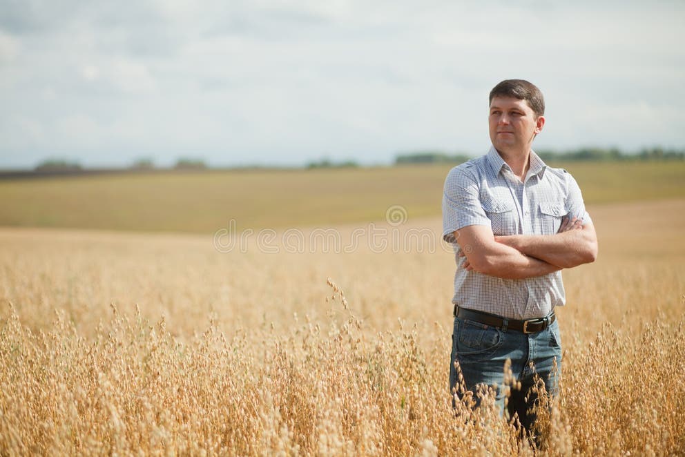 Master on the field stock image. Image of outdoor, countryside - 20942863