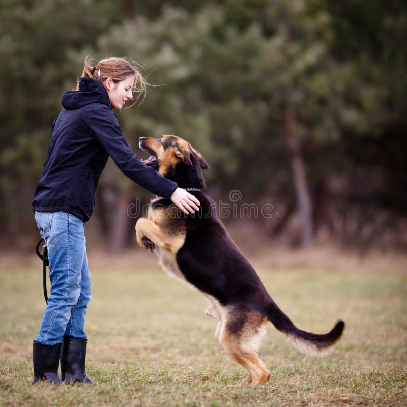 Master and Her Obedient Dog Stock Image - Image of active, carnivore ...