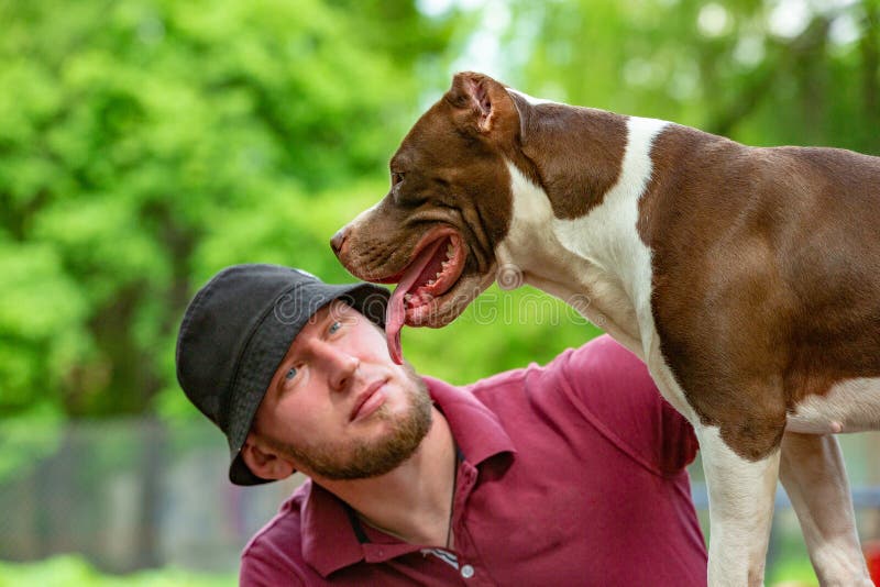 Master and His Obedient Dog at a Dog Training Center Stock Photo ...