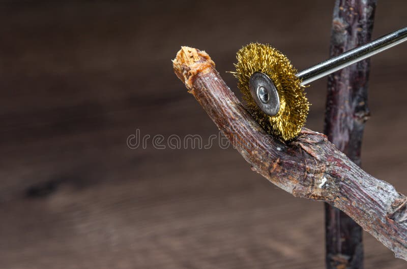 The Master Processes the Tree with a Multi-tool Stock Photo - Image of ...