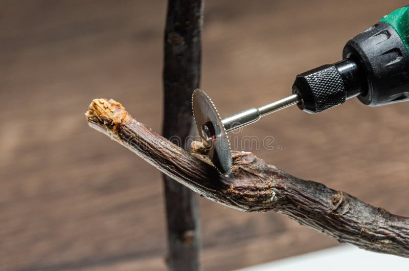 The Master Processes the Tree with a Multi-tool Stock Photo - Image of ...