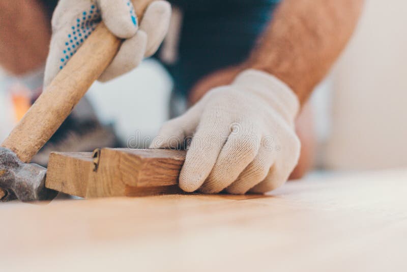 The Master Skillfully Installs Parquet - Floating Floor Stock Image ...
