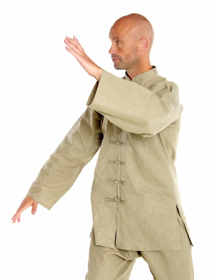 Master of tai-chi stock photo. Image of chinese, ethnicity - 11201930