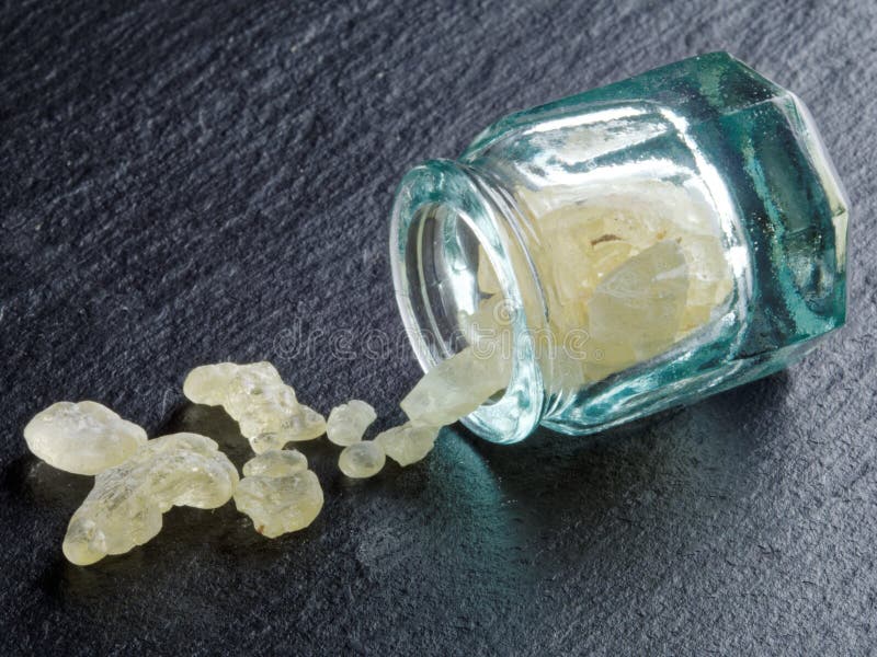 Mastic tears stock photo. Image of plant, cuisine, mastic - 107337214