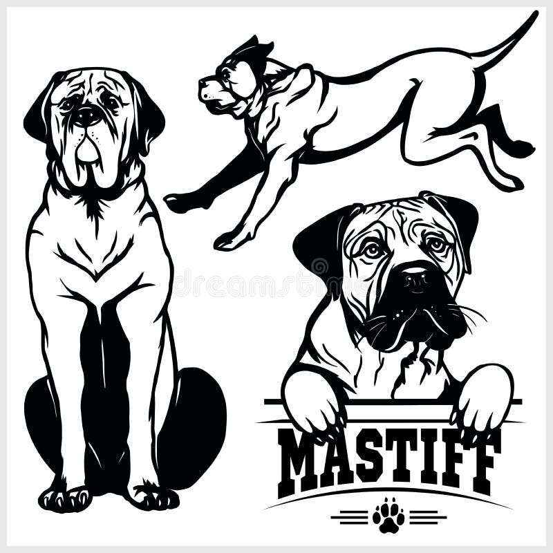 Mastiff Illustration Stock Illustrations – 2,570 Mastiff Illustration ...