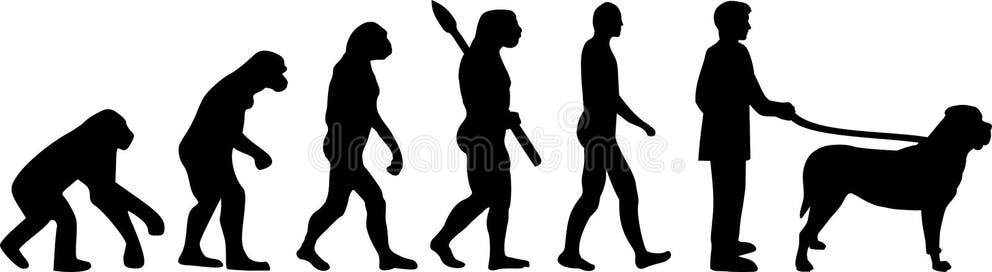 Mastiff evolution darwin stock vector. Illustration of isolated - 114229415