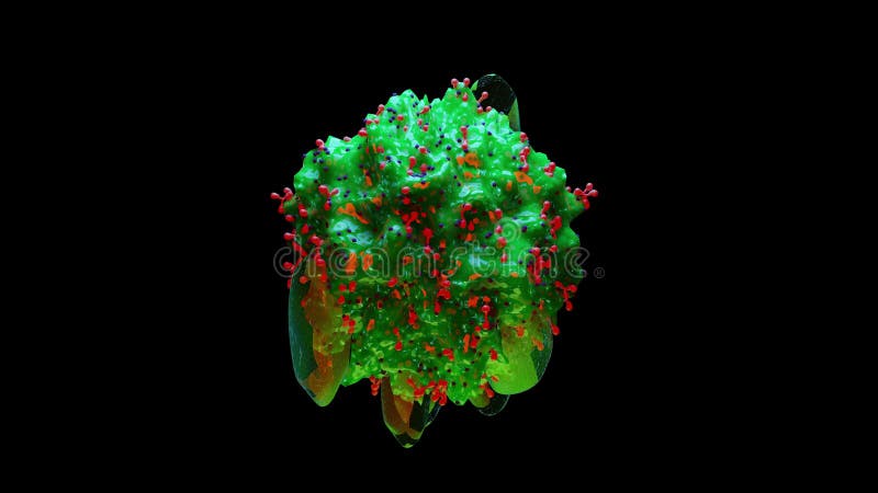 Mastocyte, Mast cell, 3d stock video. Video of black - 226952239