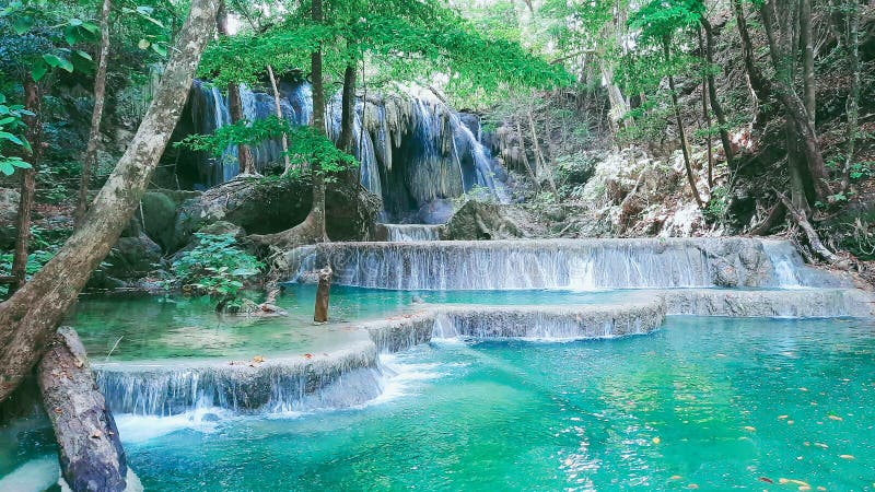 Mata Jitu Water Fall in Moyo Island Stock Image - Image of tree, fall ...