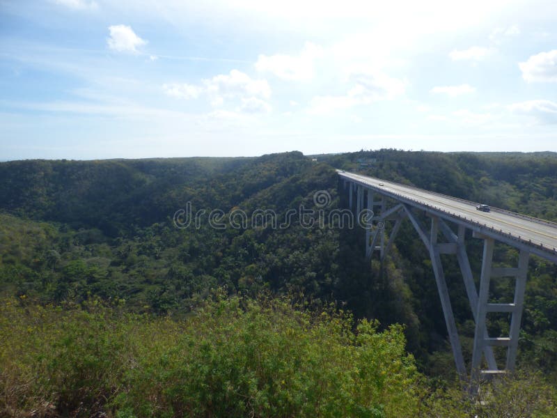 Matanzas Bridge in the Jungle Stock Photo - Image of colors, lifetime ...