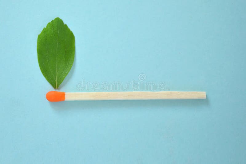 Match with Green Leaf Like a Flame Stock Photo - Image of abstract ...