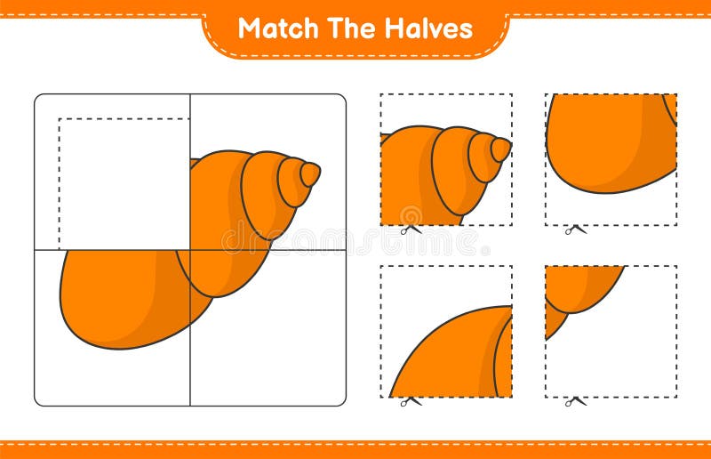 Match the Halves. Match Halves of Sea Shells Stock Vector ...