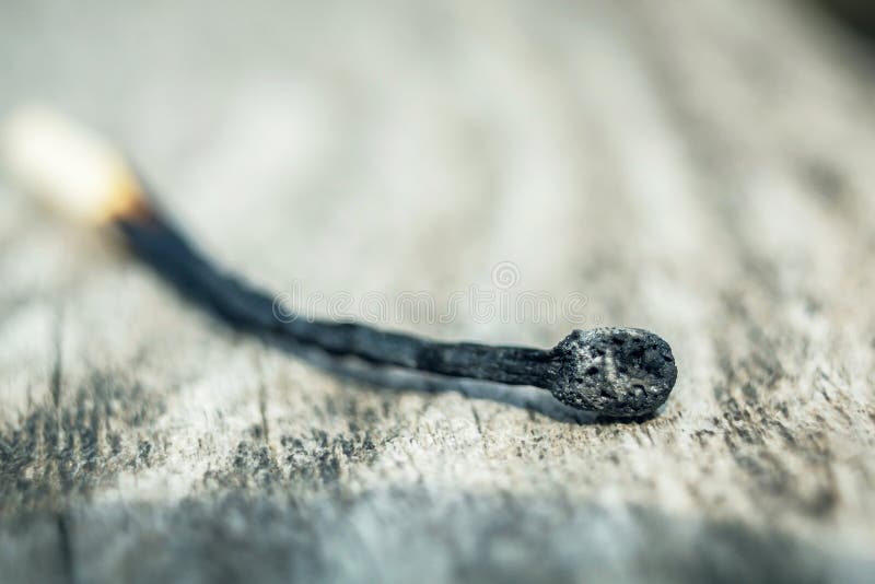 Match for Lighting a Fire. Fire Hazard Stock Photo - Image of match ...