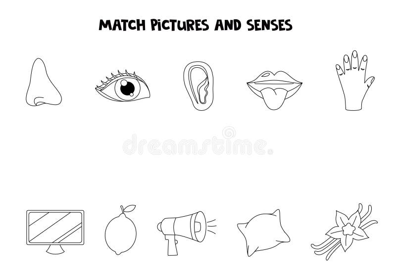 Match Objects and Senses. Five Senses Worksheet. Stock Vector ...