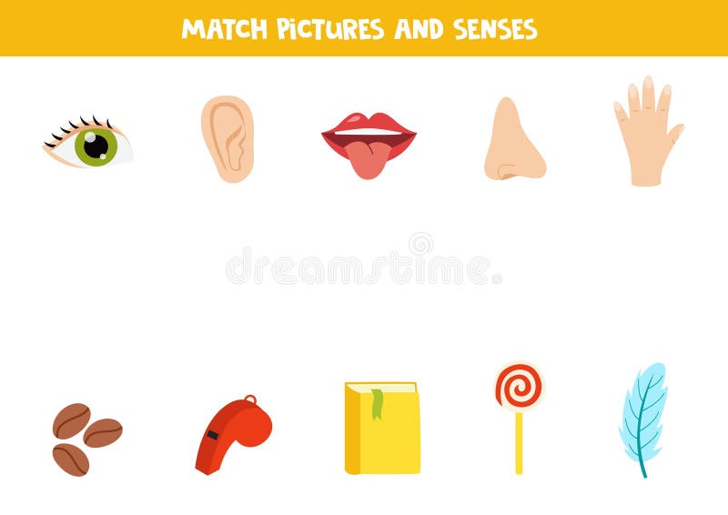 Match Objects and Senses. Five Senses Worksheet. Stock Vector ...