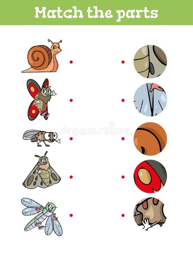 Match the Part Educational Game for Children. Cartoon Vector ...
