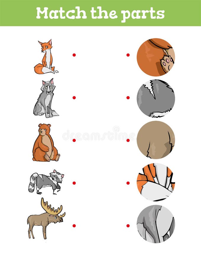 Match the Part Educational Game for Children. Cartoon Vector ...