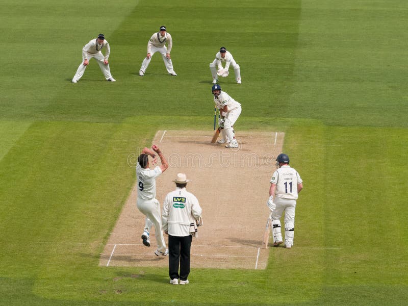 Match Professionnel De Cricket Photo stock éditorial - Image du ...