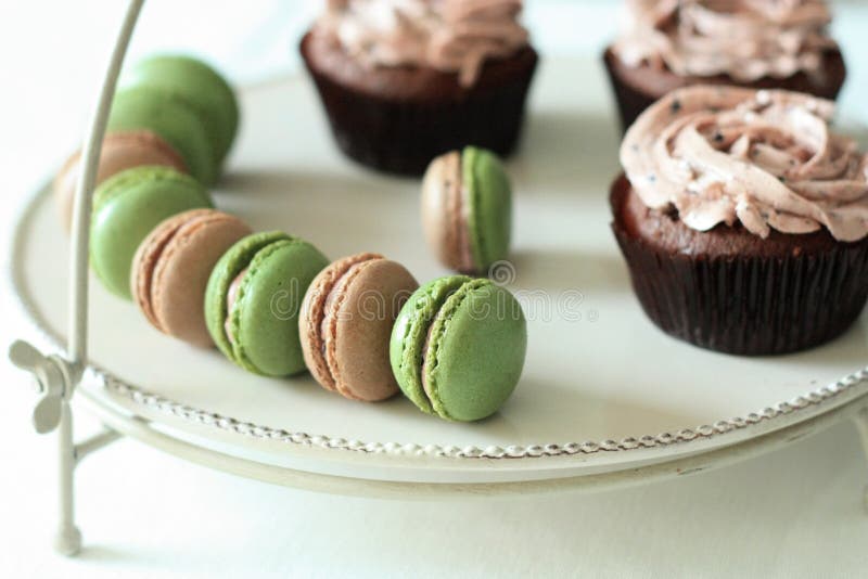 Matcha cocoa macarons stock photo. Image of cake, cocoa - 28004852