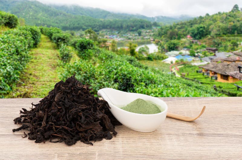 377 Matcha Plantation Tea Photos - Free & Royalty-Free Stock Photos ...