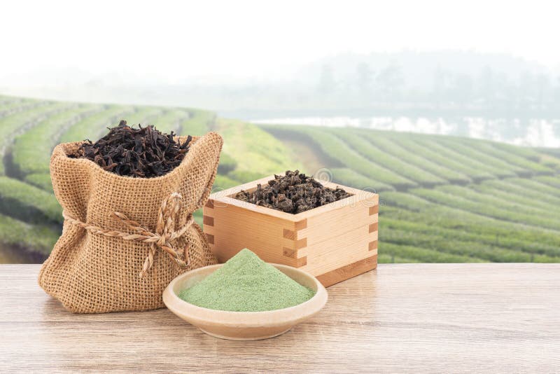 454 Matcha Plantation Tea Stock Photos - Free & Royalty-Free Stock ...