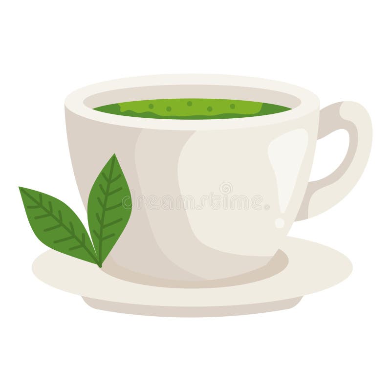 Matcha Tea beverage icon stock vector. Illustration of beverage - 289521157