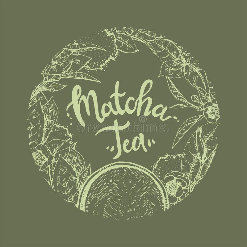 Matcha Leaves Stock Illustrations – 1,347 Matcha Leaves Stock ...