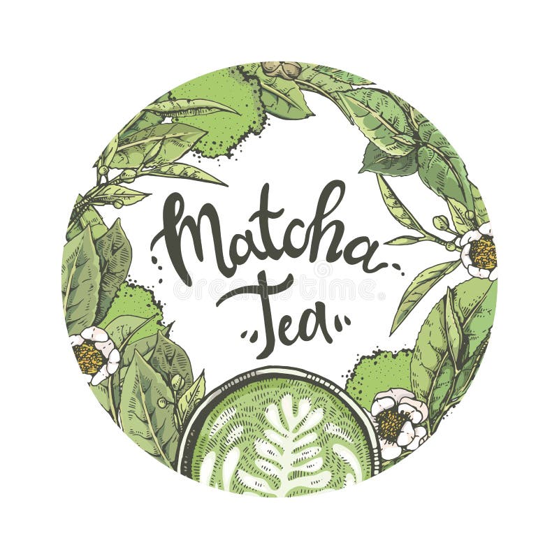 Matcha Tea and Leaves Round Hand-drawn Emblem. Stock Illustration ...