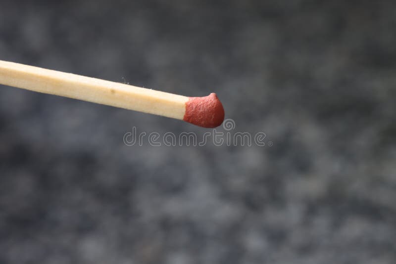 Matches are Lit To Light a Fire Stock Image - Image of light, forest ...