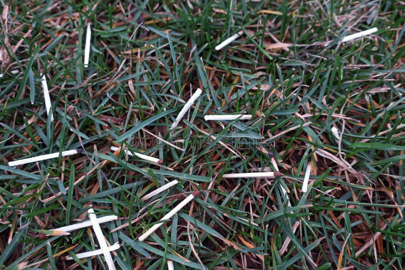 Scattered Wet Leaves Grass Stock Photos - Free & Royalty-Free Stock ...