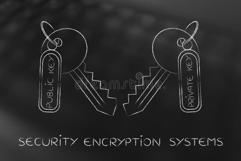 Public Key Encryption and Decryption Stock Photo - Image of information, privacy: 244662232