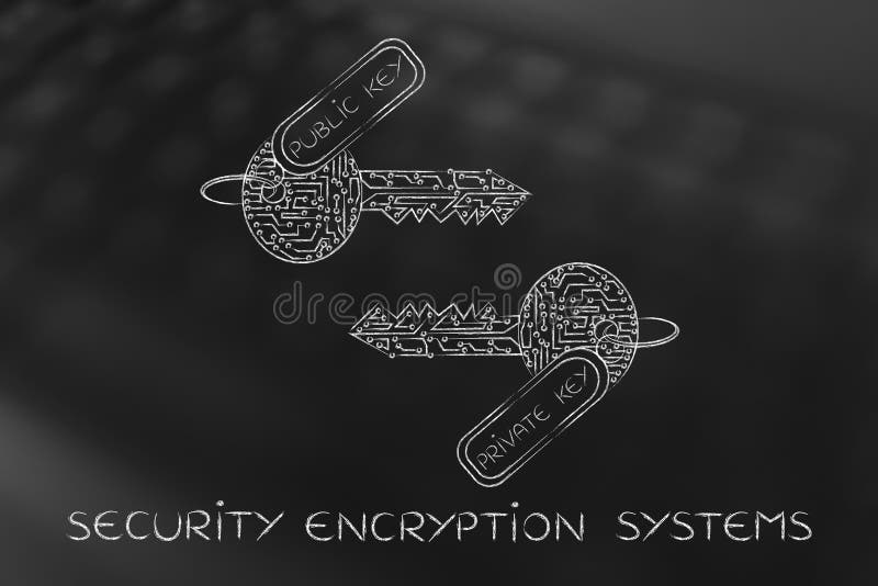 Public Key Encryption and Decryption Stock Photo - Image of information, privacy: 244662232