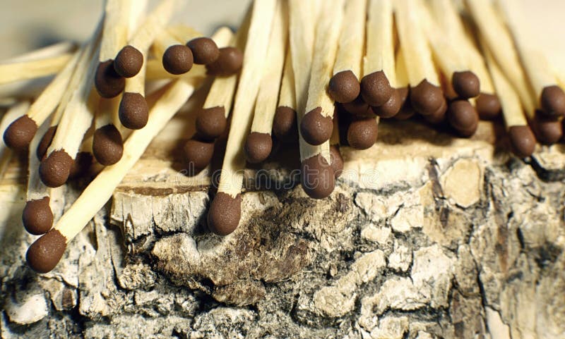 Matchsticks with Brown Tips on a Birch Board Macro Close Up Stock Photo ...