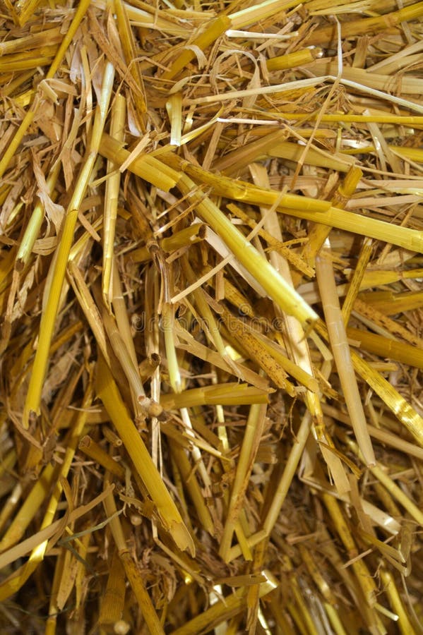 Material Und Futter - Stroh - Hamburg - Deutschland Stockfoto - Bild ...