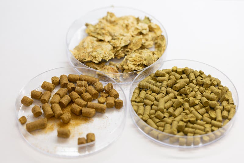 Beer Raw Materials and Production of Beer at the Home. Stock Image ...