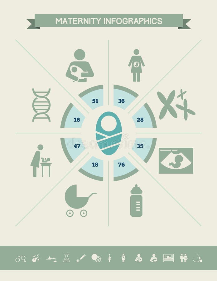 Maternity Infographic Template. Stock Vector - Illustration of ...